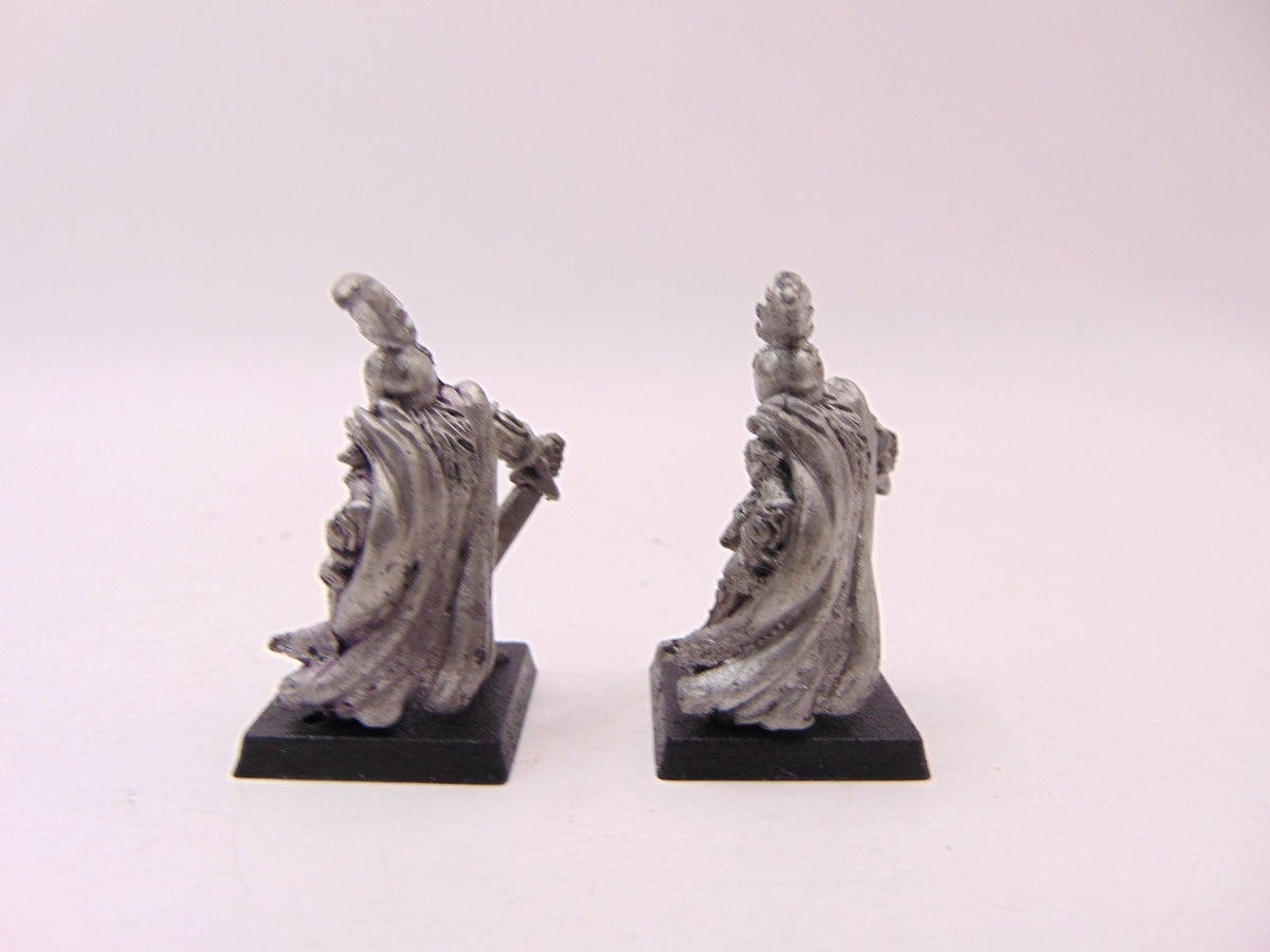 BC2 Evil Dark Elf Captain – The Troll Trader