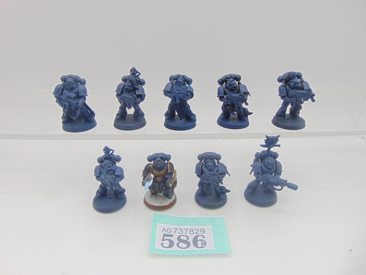 Wolf Pack – The Troll Trader