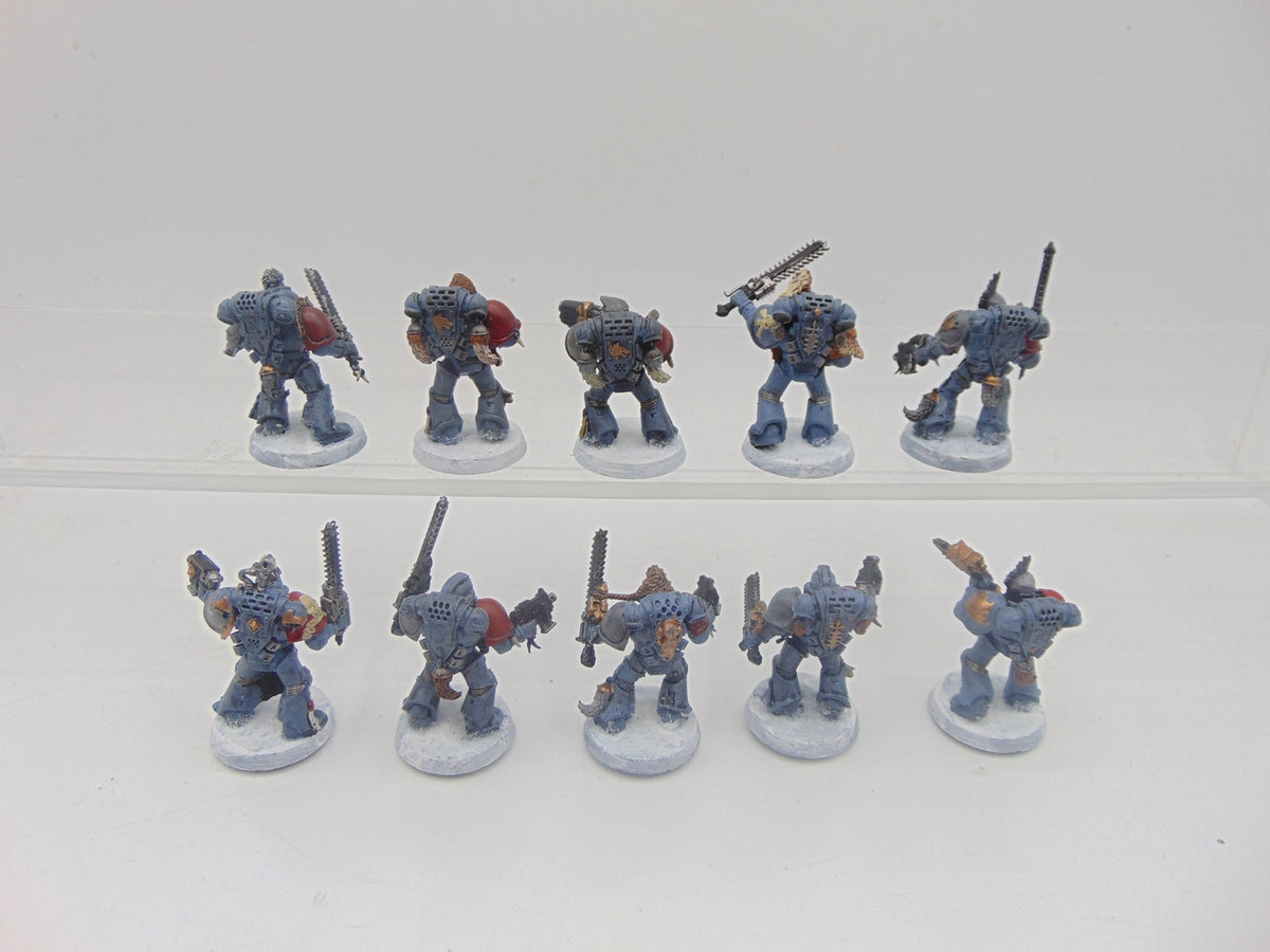Wolf Pack – The Troll Trader