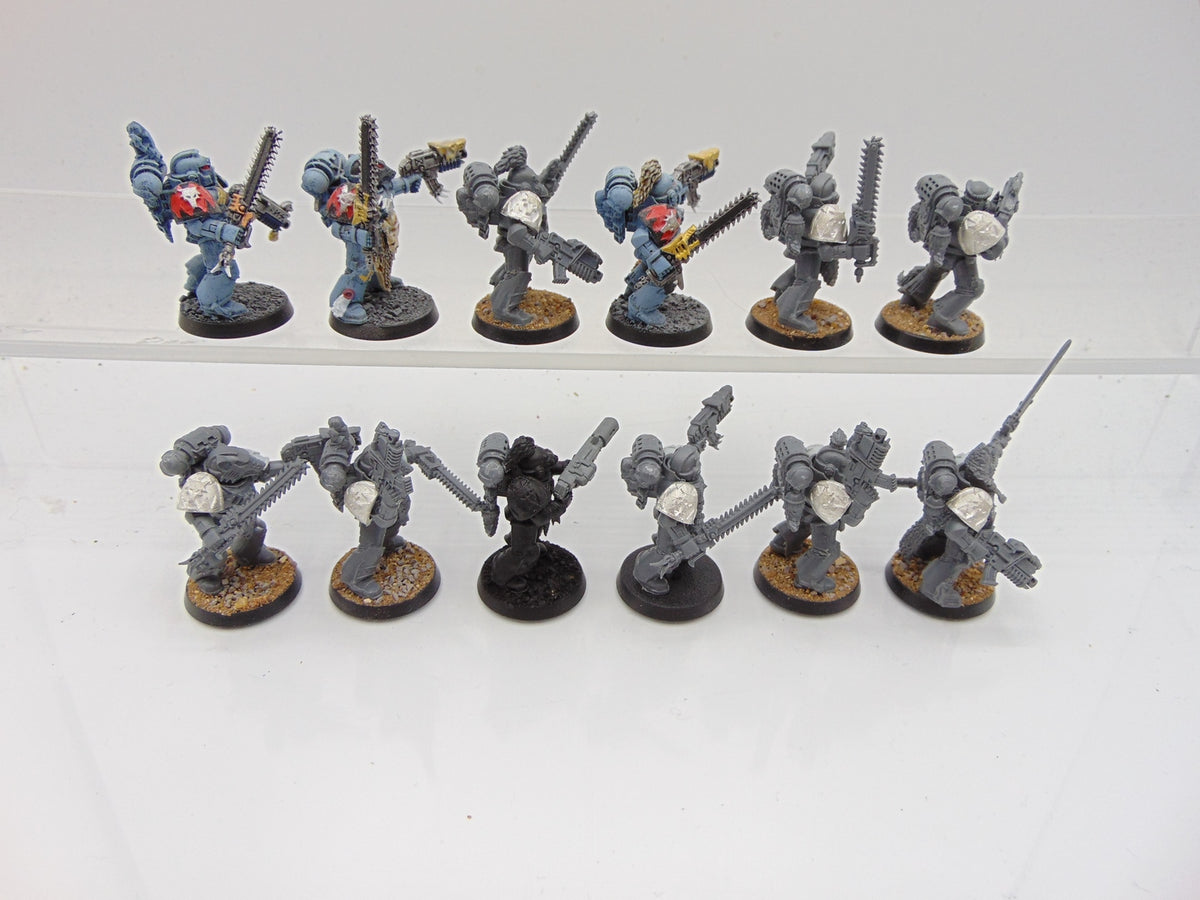 Wolf Pack – The Troll Trader