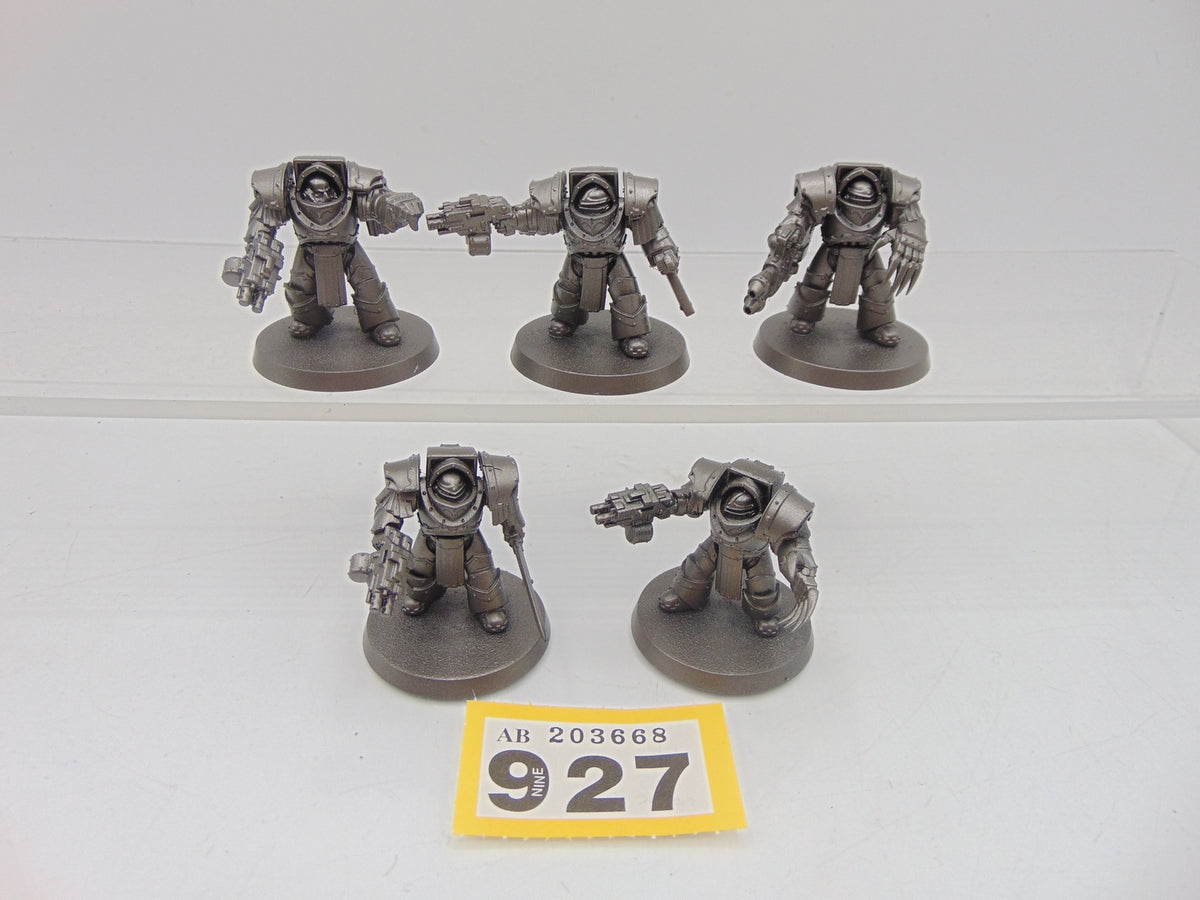 Cataphractii Terminator Squad – The Troll Trader