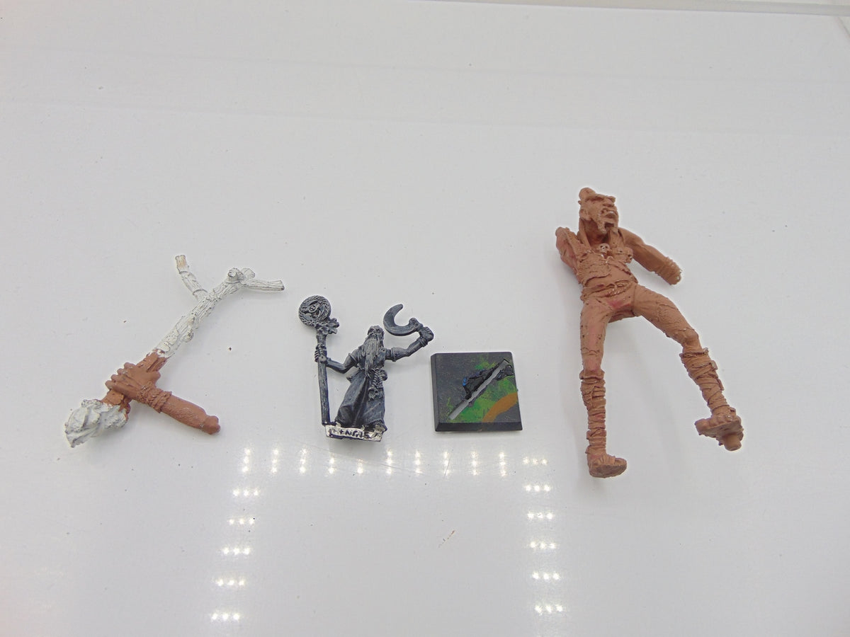 Giant of Albion and Hengus Druid – The Troll Trader